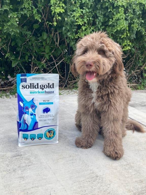 Solid Gold Nutrientboost Wolf Cub Bison PY Dry Dog Food, 22 lbs. | Petco