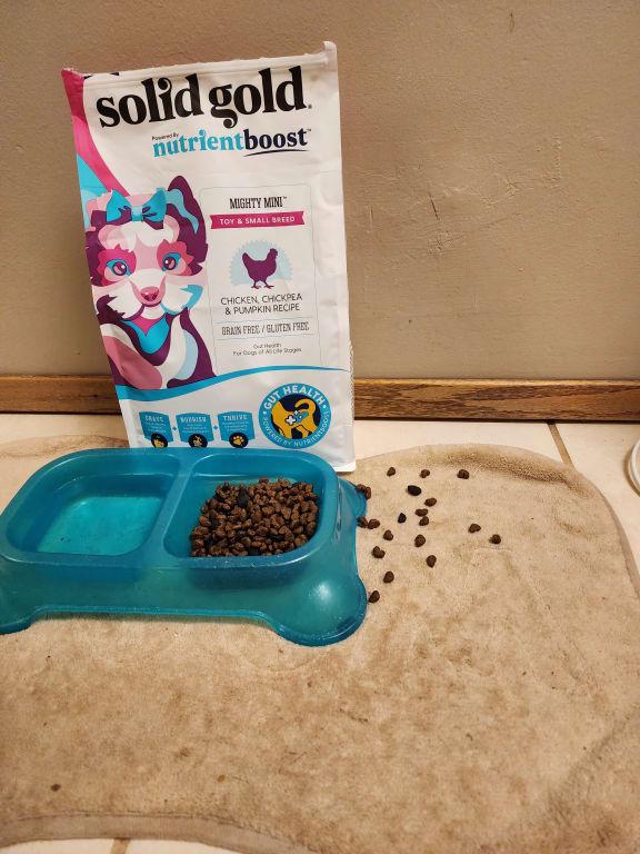 Solid Gold Mighty Mini Chicken & Superfoods Dry Dog Food 11 lbs