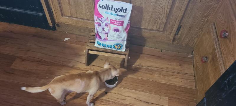 Solid Gold Wee Bit Bison & Superfoods Small Breed Dog Food