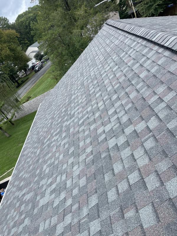 CertainTeed Landmark AR Silver Birch Laminated Architectural Roof ...