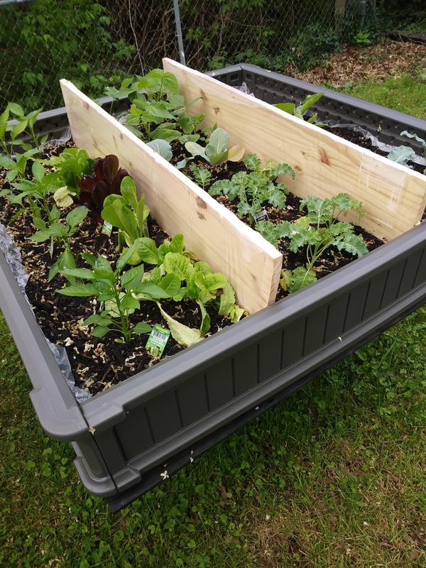 Sams Club Raised Garden Bed Kits