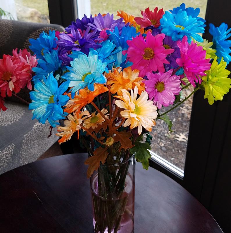 Crazy Daisy Flower Delivery | Best Flower Site