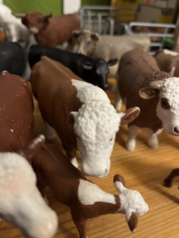 Hereford Toy Cows | atelier-yuwa.ciao.jp
