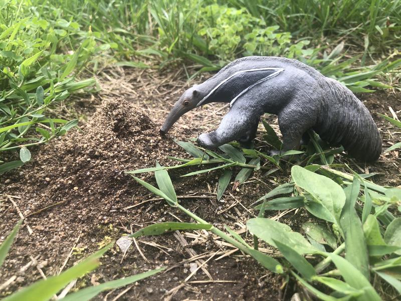 Schleich Anteater Animal Figure - Macy's