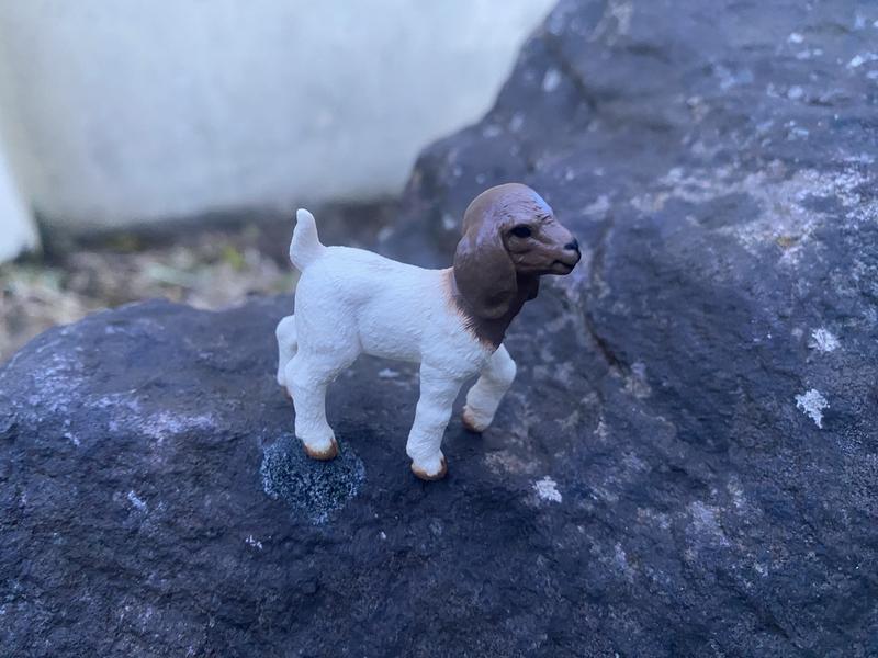 Schleich Boer Goat Kid Toy Figurine, Red at Tractor Supply Co