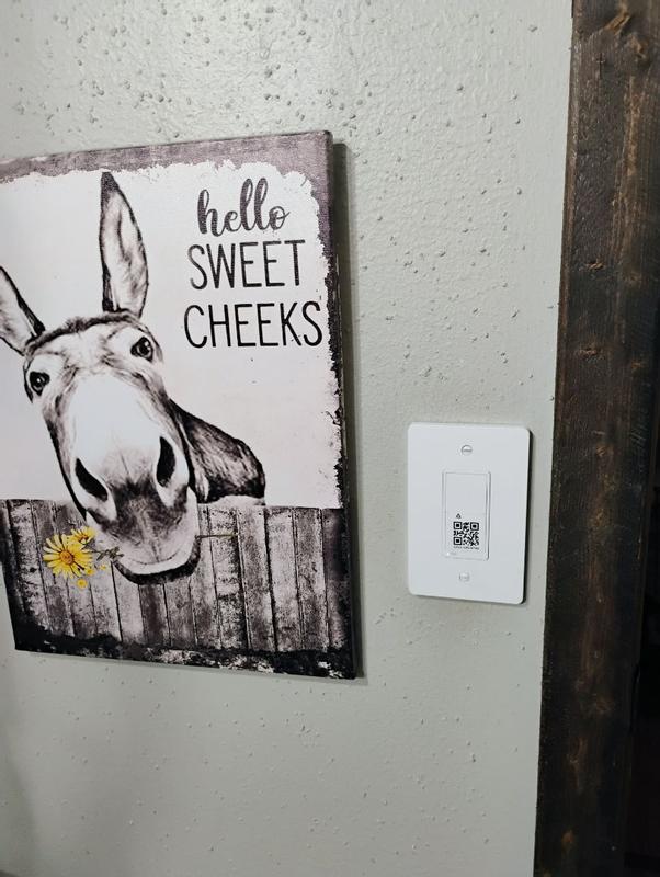 Square D by Schneider X Series Smart WiFi Matter 15-amp Single-pole/3 ...