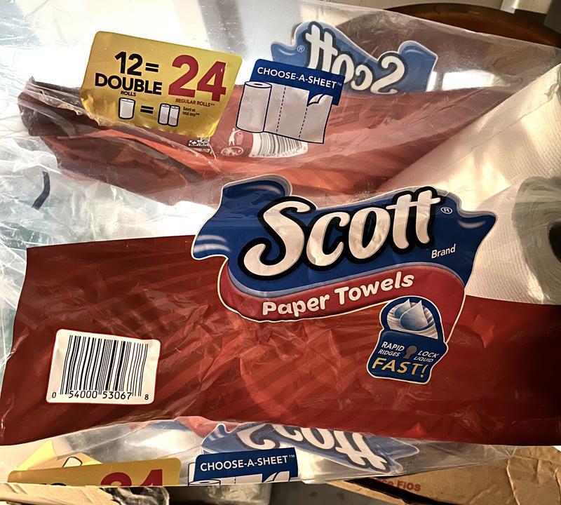 Scott Paper Logo