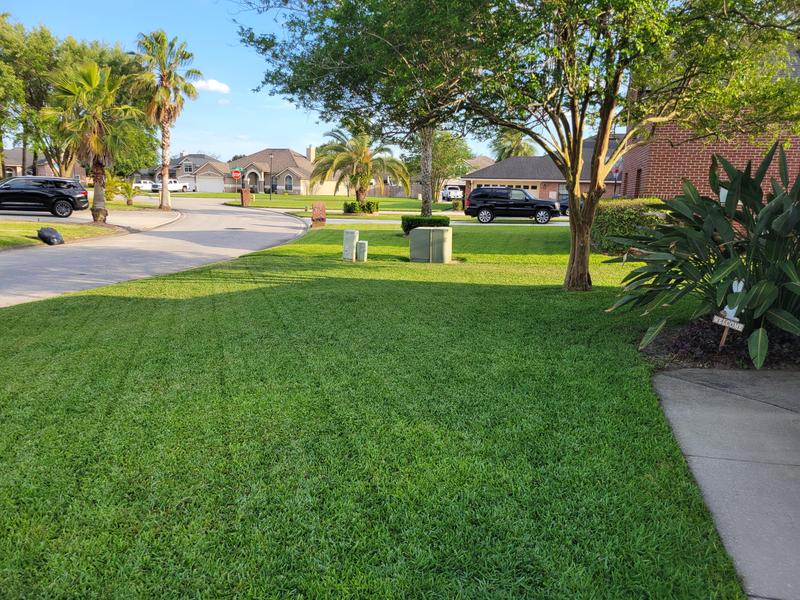 Scotts Turf Builder Southern Triple Action, 13.32 lbs. at Tractor Supply Co