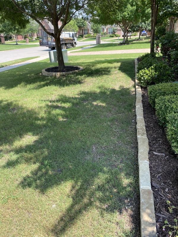 Scotts Turf Builder Early Spring 10.68-lb 4000-sq ft 30-0-4 All Purpose ...