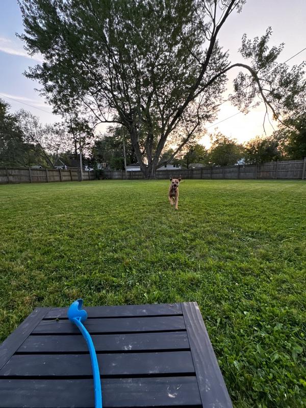 Scotts 13.35 lb. 5,000 sq. ft. Turf Builder SummerGuard Lawn Food with ...