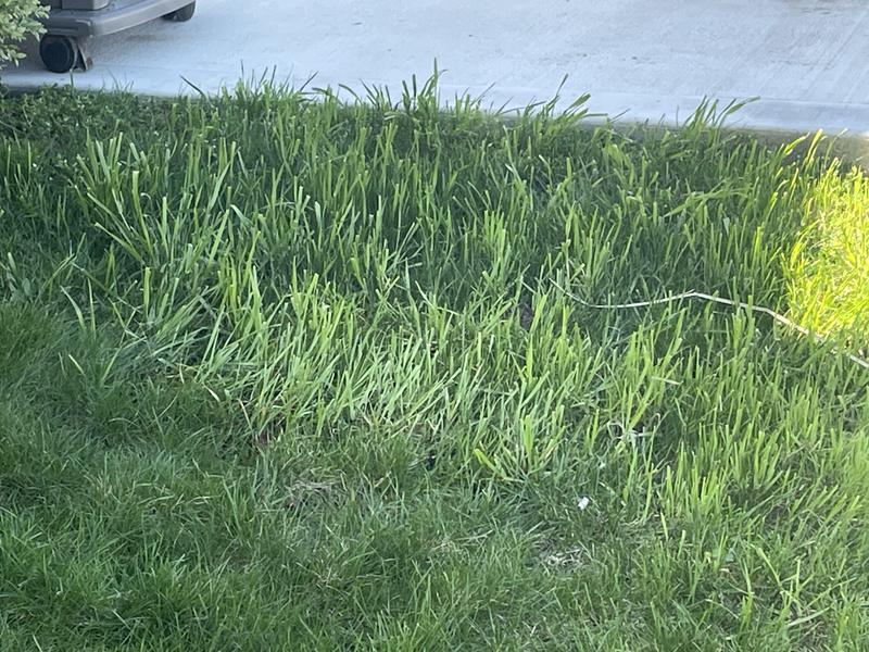 Scotts 20 lb. 8,000 sq. ft. Turf Builder Landscaper's Grass Seed Mix ...