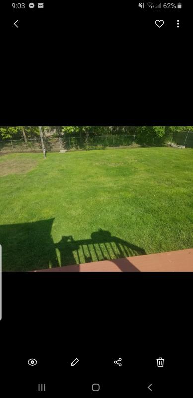 Scotts 10 lb. PatchMaster Lawn Repair Mix Sun and Shade Grass Seed Mix ...