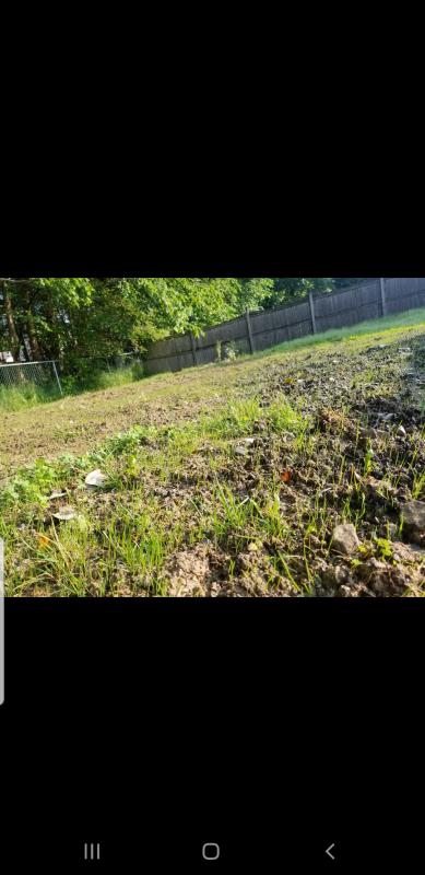 Scotts 10 lb. PatchMaster Lawn Repair Mix Sun and Shade Grass Seed Mix ...