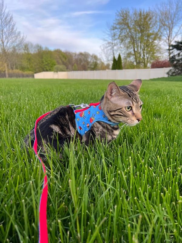 Scotts 13.35 lb. 5,000 sq. ft. Turf Builder SummerGuard Lawn Food with ...