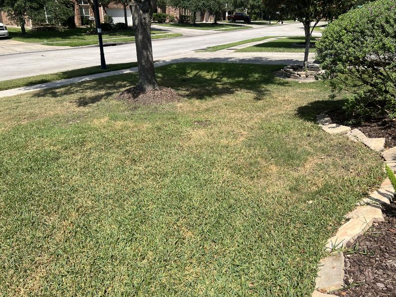 Scotts Turf Builder 4,000 sq. ft. Bundle for Small Northern Lawns ...