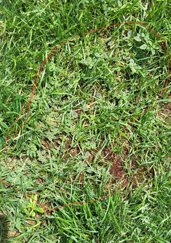 Scotts 10 lb. EZ Seed Patch and Repair Sun and Shade Grass Seed at ...