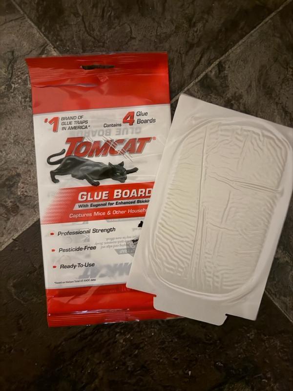 TOMCAT Glue Boards with Eugenol for Enhanced Stickiness 4-Count Sticky ...