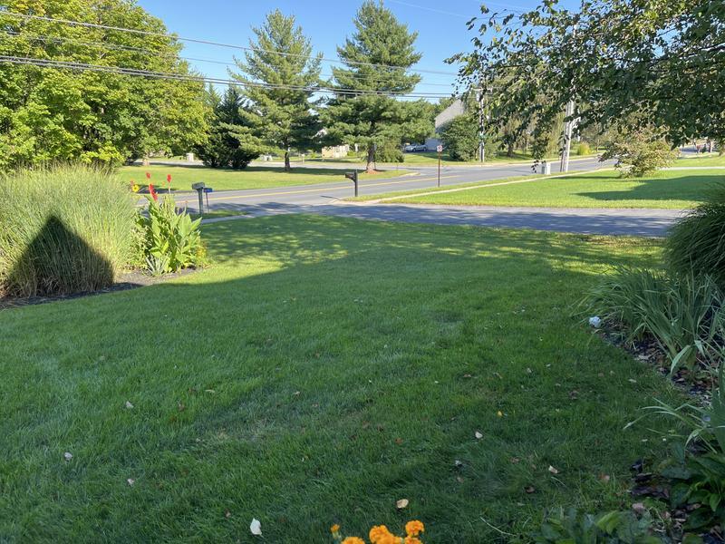 Scotts Lawn Pro Step 4 Lawn Fertilizer 33-3-10 Covers 5000 Sq.Ft. in ...