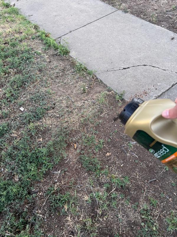 Shop Scotts Bermuda Lawn Repair Kit: Patch Fast with Soil-Boosted ...