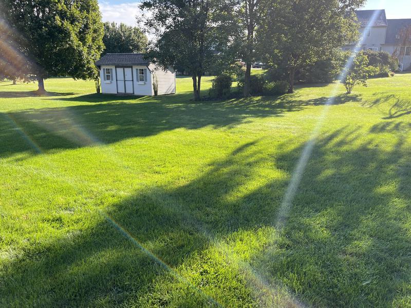Scotts Lawn Pro Step 4 Lawn Fertilizer 33-3-10 Covers 5000 Sq.Ft. in ...
