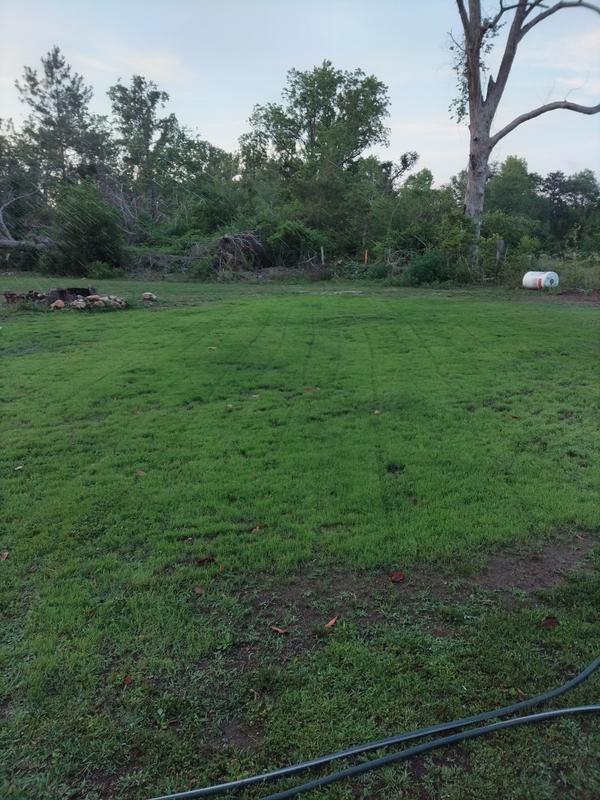 Shop Scotts Bermuda Grass Grow & Establish Kit: Seed, Lawn Soil ...