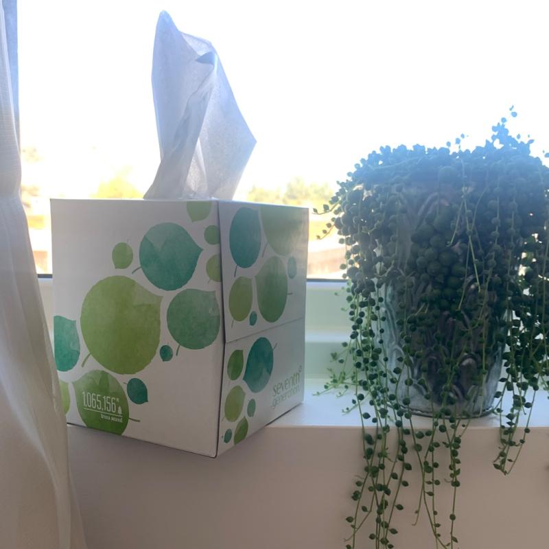 Seventh Generation Facial Tissue (85-Count) at Lowes.com