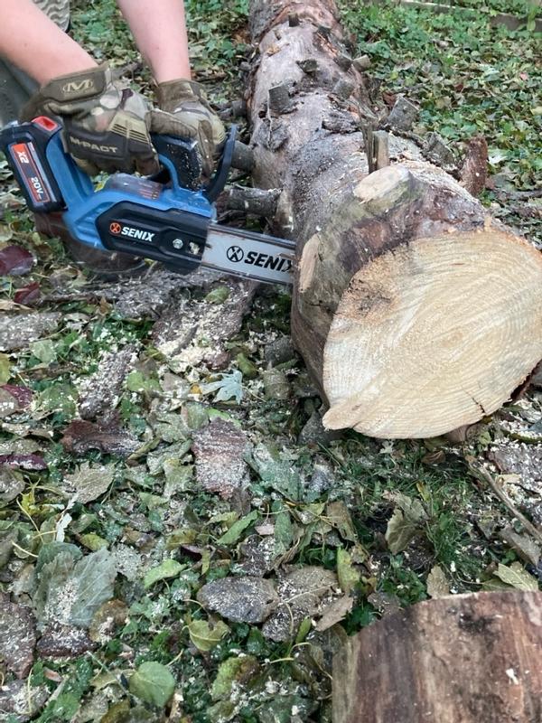 SENIX X2 20-volt Max 10-in Battery 4 Ah Chainsaw (Battery and Charger ...