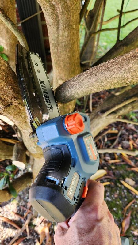 SENIX 20-V Lithium-ion Battery CSX2-M3-0 at Lowes.com