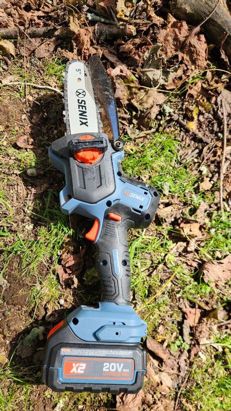 SENIX 20-V Lithium-ion Battery CSX2-M3-0 at Lowes.com