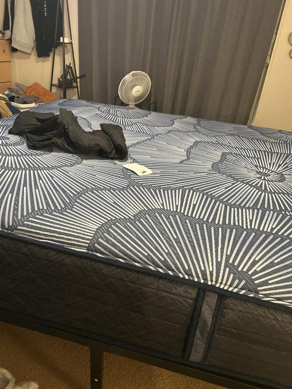 Serta Perfect Sleeper Radiant Rest 14-in Soft California King Hybrid ...
