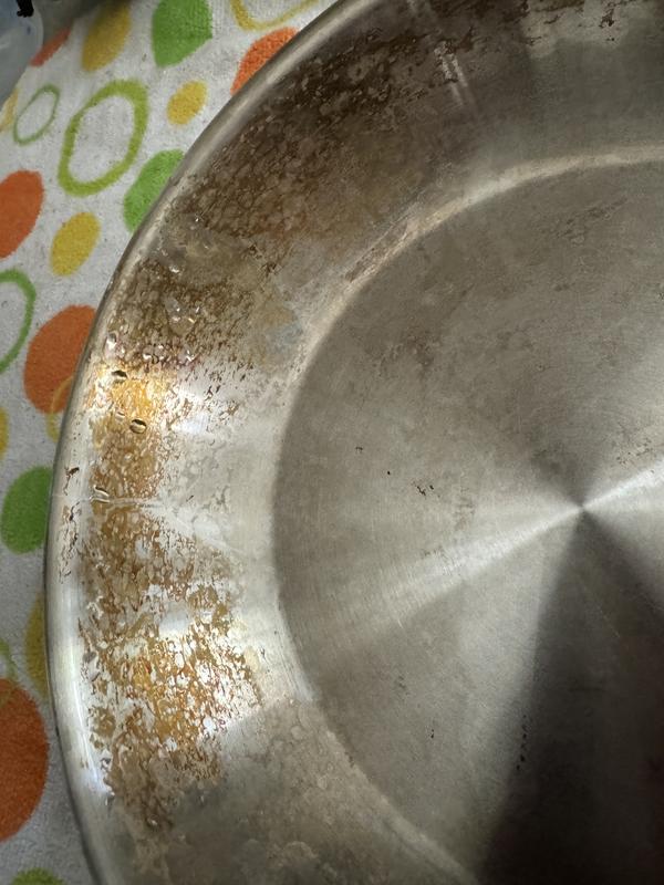 Ninja EverClad Commercial-Grade Stainless Steel Cookware 12 Piece Set ...