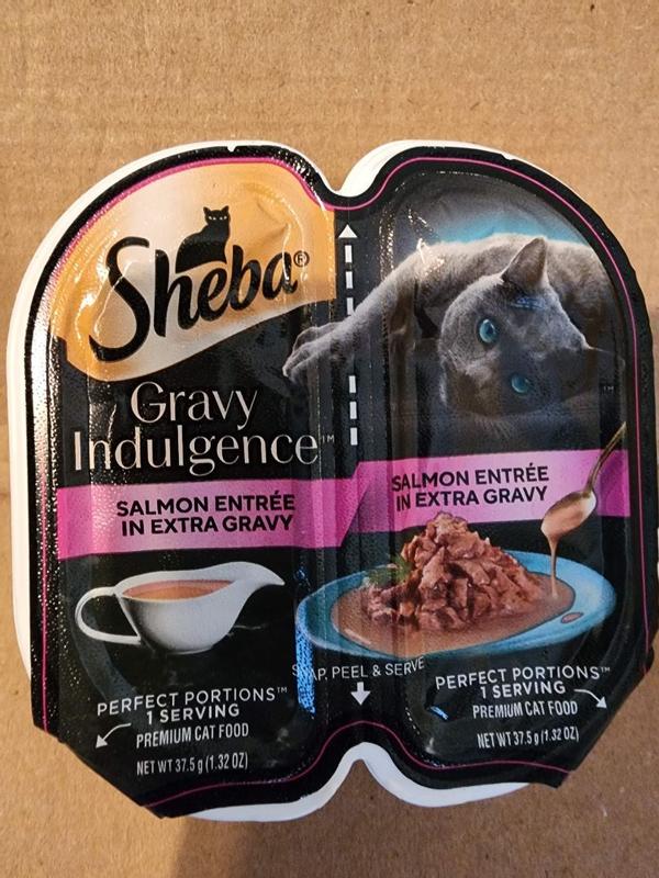 Sheba GRAVY INDULGENCE Salmon Entree in Extra Gravy Adult Wet Cat Food ...