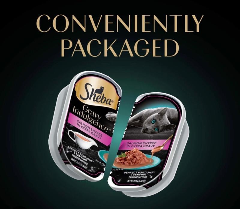 Sheba GRAVY INDULGENCE Salmon Entree in Extra Gravy Adult Wet Cat Food ...