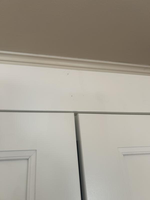 Shenandoah Glasson 24-in W x 42-in H x 12-in D Truffle Stained Wall ...