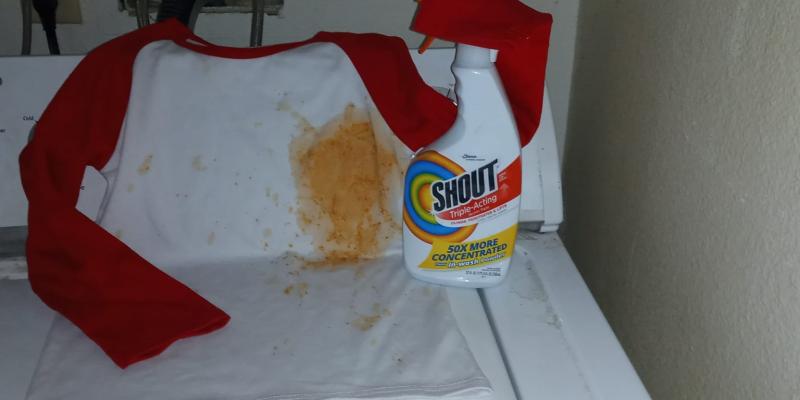 Shout Trigger Triple Action Laundry Stain Remover Spray, 650-mL ...