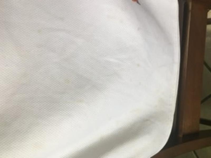 Shout Trigger Triple Action Laundry Stain Remover Spray, 650-mL ...