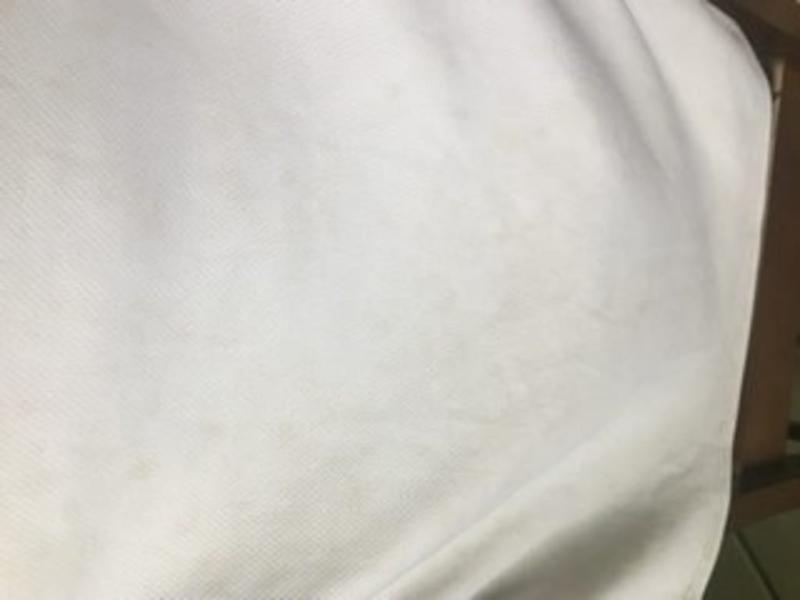 Shout Trigger Triple Action Laundry Stain Remover Spray, 650-mL ...