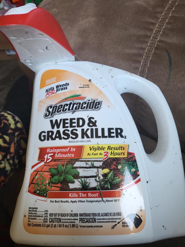 Spectracide 1.33 gal. Weed and Grass Killer2 AccuShot Sprayer at ...