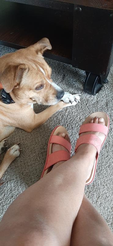 Sperry Women's Wave side Leather Sandals - Macy's