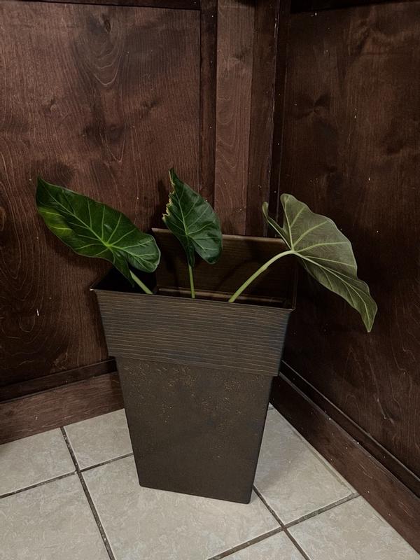 The HC Companies Avino 16 Inch Square Resin Flower Planter Pot Celtic ...
