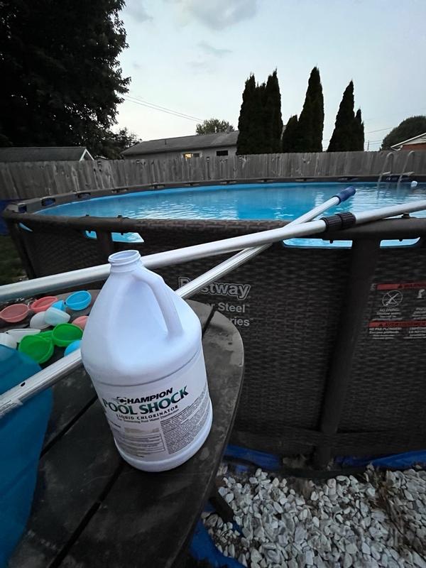CHAMPION 2 -Pack 1.0 Gallon(s) Liquid in the Pool Chlorine department ...