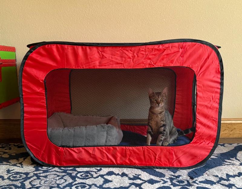 Redmon 41.5-in x 25.25-in x 24.5-in Red Collapsible Nylon Any Dog ...