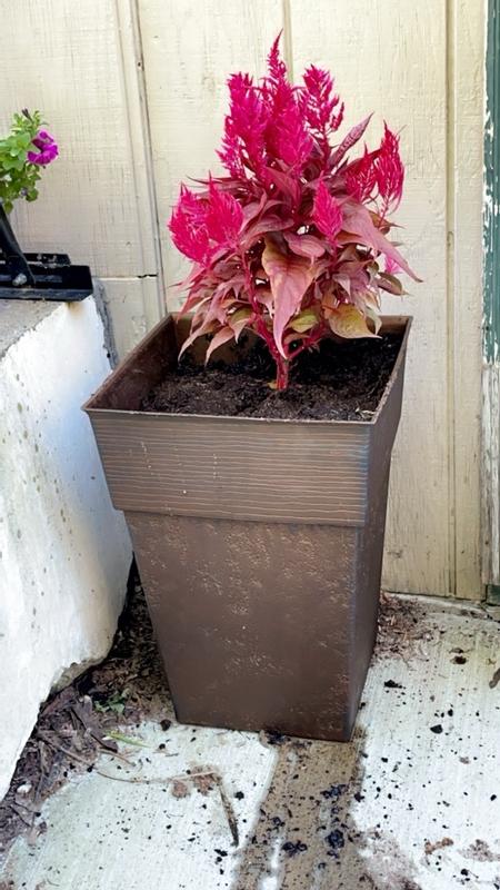 The HC Companies Avino 16 Inch Square Resin Flower Planter Pot Celtic ...