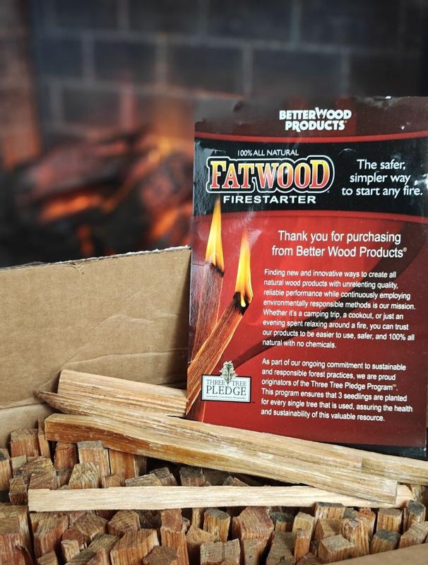BetterWood Products 9910 Fatwood 10 Pound Natural Wood Firestarter (4 ...