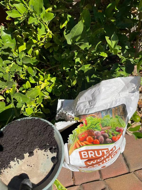 Brut Worm Farms 30 Pound(s) Fruit flower and vegetable Organic Potting ...