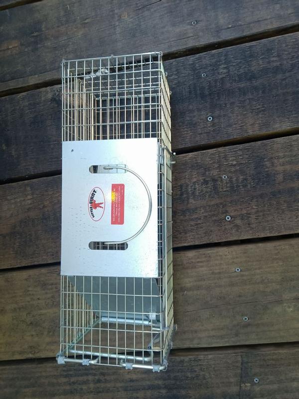 Little Giant LT1 18 Inch Reinforced Live Animal Trap with Single Door ...