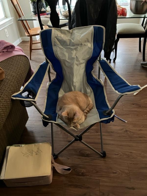 KingCamp Polyester Blue/White Folding Camping Chair 397277 at Lowes.com