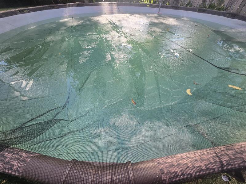 Swimline 18-ft x 18-ft Polyester Leaf and debris Round Pool Cover in ...