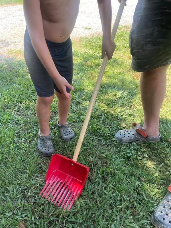 Little Giant Easy Scoop Pet Lodge Pooper Scooper for Dogs w/ Wooden ...