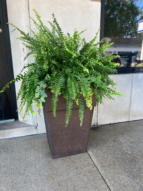 The HC Companies Avino 16 Inch Square Resin Flower Planter Pot Celtic ...